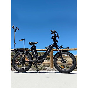 HAOQI Antelope Black Electric Bike for Adults 48V 25AH Removable Dual Lithium Battery, 750W Motor, 20" x 4.0 Fat Tire Step-Thru Ebike up to 28MPH, 7-Speed