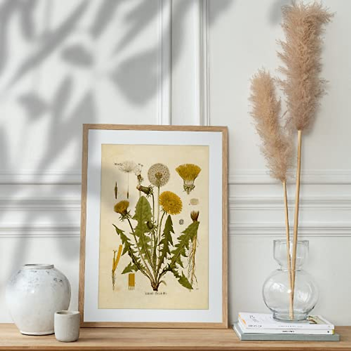 Ink Inc. Botanical Prints Wall Art Ink Inc - Woodland Plants Wildflower Mushrooms Ferns Berries - Set of 9 8x10 Unframed