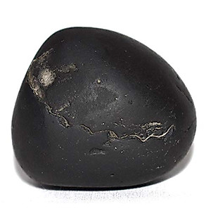 Rudrakshguru Janardhana Shaligram - Gandaki River Nepal