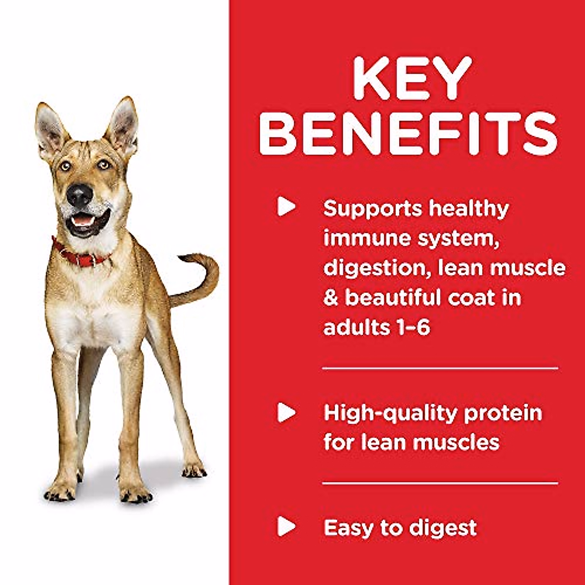 Hill's Science Diet Wet Dog Food, Adult 1-6, Savory Stew with Chicken & Vegetables, 12.8 oz. Cans, 12-Pack