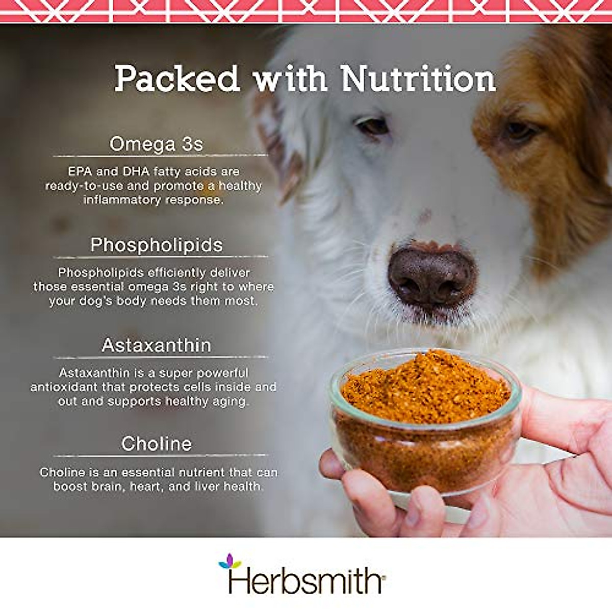 Herbsmith Pure Krill - Wild-Caught Antarctic Krill - Just 1 Ingredient - Astaxanthin for Dogs - Ready-to-Use Omega 3s – Alternative to Krill Oil for Dogs - 75g