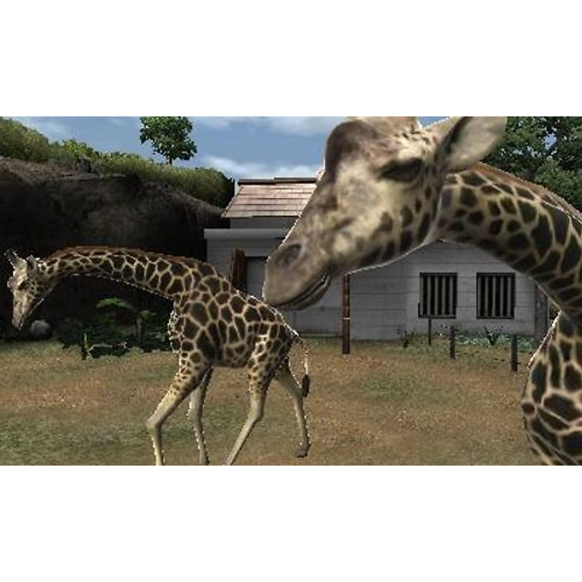 Animal Resort: Dobutsuen o Tsukurou!! [Japan Import]