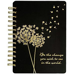 Dandelion Wishes Journal (Diary, Notebook)