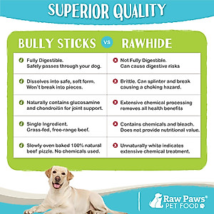 Raw Paws Jumbo Bully Sticks for Dogs, 12" (5 Pack) - Extra Large Bully Sticks for Dogs - Cows No Added Hormones, Pizzle Sticks for Dogs, Long Lasting Bully Bones for Aggressive Chewers