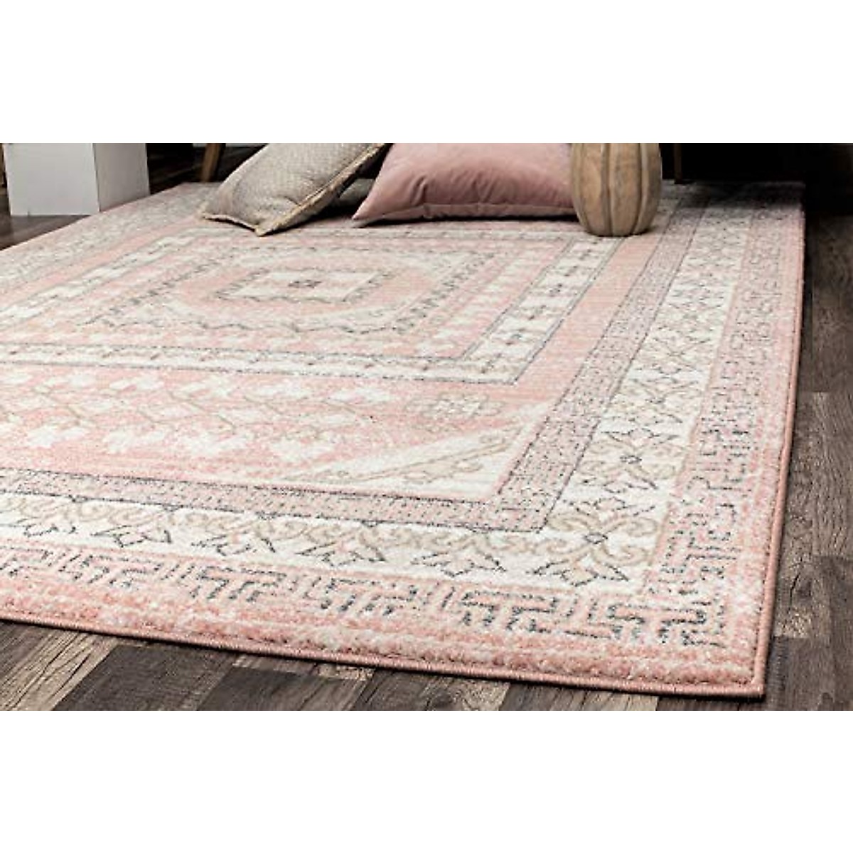 Rugs America Harper HY40A Carnation Transitional Vintage Area Rug, 5'x7'