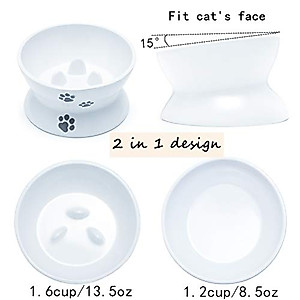 Raised Cat Bowl Elevated Slow Feeder Solve Vomiting Melamine Stress Free Pet Feeder and Waterer,Backflow Prevention, Gift for Cat