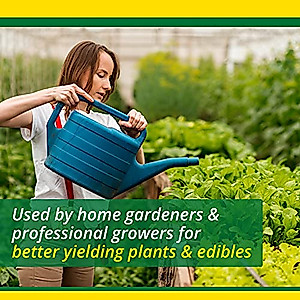 SUPERthrive Liquid Organic All Purpose Plant Food 1 qt.