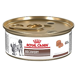 Royal Canin Veterinary Diet Feline And Canine Recovery Rs In Gel Canned Cat and Dog Food, 5.8 oz