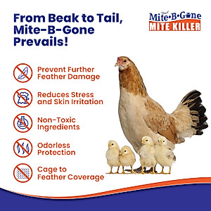 Mite Killer Spray by Mite-B-Gone — Kills Human Mites, Bird, Dust, Spider, Rat, Turkey, Carpet Mites. Treatment for Homes, Furniture, Bedding, Auto & Animals | Non-Toxic | Kid & Pet Safe | 16oz Spray