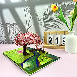 NORVAS Pop Up Anniversary Cards 3D Cherry Blossom Bridge with Couple in Love, Romantic Greeting Card for Wife, Husband, Her, Him, Wedding Card, Happy Valentine’s Day, 6"x 8" Happy Mother’s Day Pop Up Card