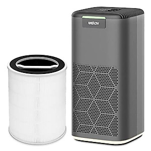 Welov P200S Air Purifiers for Home Large Room with An Extra H13 True HEPA Filter Bundle