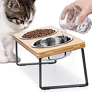 Elevated Cat Bowls for Food and Water - Loplurea 15° Tilted Raised Stainless Steel Cat Food Bowl with Bamboo Stand and Anti Vomit Feeding Station for Indoor Cats and Pet