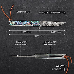 STANBIK Damascus Pocket Knife with Sheath,Abalone Shell Handle With 3.54" Damascu Blade,EDC Folding Knives for Camping Fishing Hiking Outdoor Work.