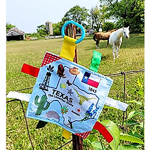 Baby Jack & Co 8x8” Learning Lovey Tag Toys for Babies - Baby Crinkle Toys - Crinkle Toys for Baby - Soft & Safe - Learn USA State Facts - Ideal Baby Toy BPA Free w/Stroller Clip (Texas)