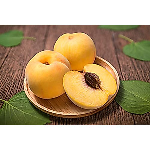 Lovell Peach Tree Seeds for Planting, (Prunus persica), 2 Heirloom Seeds Per Packet, (Isla's Garden Seeds), Non GMO Seeds, Great Home Garden Gift