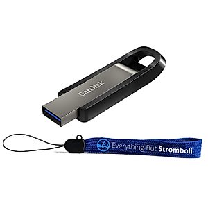 SanDisk 64GB Extreme Go USB 3.2 Flash Drive for Computer, Laptop - Type-A Storage (SDCZ810-064G-G46) Bundle with (1) Everything But Stromboli Lanyard