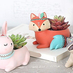 1PC desk topper mini flower planter flower pot table decoration small succulent cute Flower Pot Cute succulent containers succulent pot green decor Succulent Basin vase unique