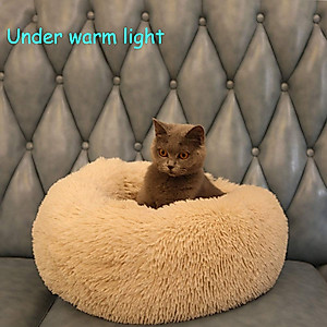 BODISEINT Modern Soft Plush Round Pet Bed for Cats or Small Dogs, Mini Medium Sized Dog Cat Bed Self Warming Autumn Winter Indoor Snooze Sleeping Cozy Kitty Teddy Kennel (20'' D x 8'' H, Champagne)