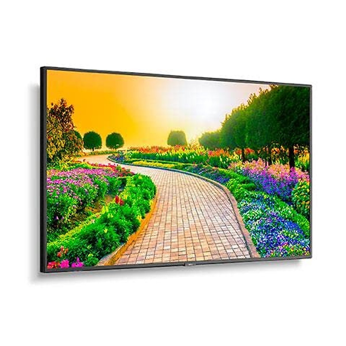 Sharp NEC Display 43 Ultra High Definition Professional Display with Pre-installed IR Touch