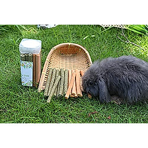 VCZONE Rabbit Chew Toys for Teeth, Timothy Grass Carrot Sticks for Guinea Pig Hamster Chinchilla Squirrel Bunny Small Animals (Timothy + Carrot)