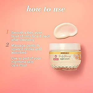 Burt's Bees Truly Glowing Moisture Bundle - Face Cleanser 6 Ounces and Night Face Cream 1.8 Ounces