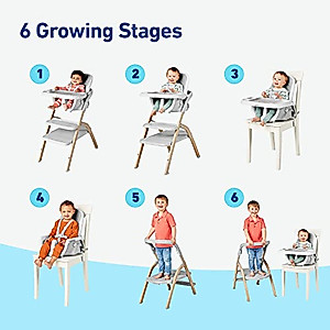 Graco EveryStep Slim 6-in-1 Highchair, Misty