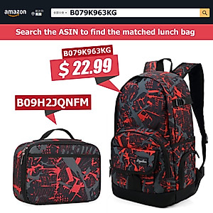 rickyh style Lunch Box with Padded Liner, Spacious Insulated Lunch Bag Durable Thermal Lunch Cooler Pack with Strap for Men Women Boys Girls Adults School Sports Beach Picnic Work Camp,2 Pocket