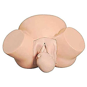 WFZY Demonstration Female Childbirth Manikin Advanced Midwifery Training Model Obstetrics and Gynecology Delivery Maternity Simulator for Nursing Medical Teaching