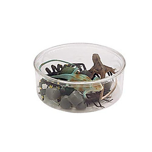 Pioneer Plastics 240C Clear Large Round Plastic Container, 8" W x 3" H, Pack of 4