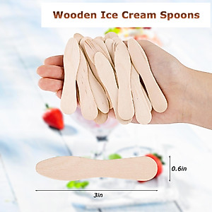 HANSGO 100PCS Wooden Ice Cream Spoons, Mini Tasting Spoons Wooden Small Dessert Spoons Sample Spoons for Crafts Tasting Sampling