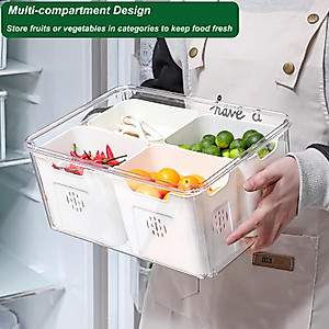 NPXZXC Airtight Fruit Storage Containers with Lids, Fridge Organizer Bins with 4 Removable Baskets, Portable Berry Vegetable Fresh Produce Saver, BPA-Free, Clear