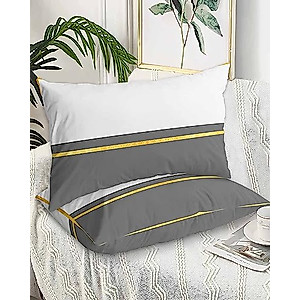 Edwiinsa Grey White Pillow Covers Standard Size Set of 2 20x26 Bed Pillow, Luxury Yellow Lace Modern Abstract Art Aesthetics Plush Soft Comfort for Hair/Skin Cooling Pillowcases with Envelop Closure