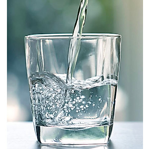 Watts Premier 5-Micron Activated Carbon Post-Filter for RO Pure/Pure Plus/Zero Pure Plus Reverse Osmosis System, Final Polishing Water Filter Replacement, Push Button Assembly