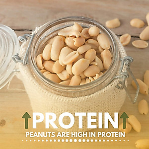 Peanuts Dry Roasted Unsalted, Blanched, 5 Pound Bulk Bag - We Got Nuts,