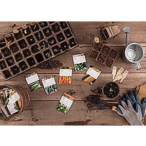 Bentley Seed Co. Set of 40 Vegetable Seeds for Planting - Gardening Seeds to Grow in a Garden or Indoors - Get your own Seeds for Planting Vegetables - Herb Seeds - Garden Seeds Vegetable Variety Pack