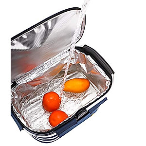 ALLCAMP Insulated Picnic Baskets Shoping Basket Cooler Bag Collapsible Portable Picnic Basket (Blue White Stripe)