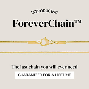 KISPER 24k Gold Snake Chain Necklace – Thin, Dainty, Gold Plated Stainless Steel Jewelry for Women & Men with Lobster Clasp, 20”