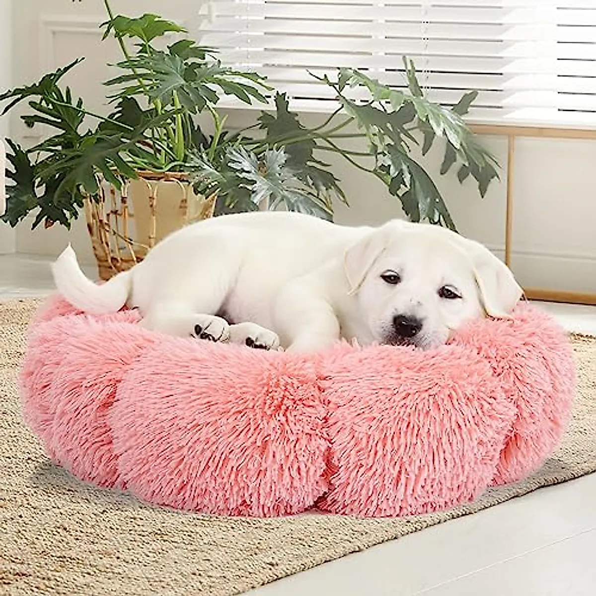 SENNAUX Cat Bed - Cute, Washable Pink Donut Bed for Indoor Cats and Small Dogs, Soft, Fluffy, Anti-Anxiety, Self-Warming, Blush Pink