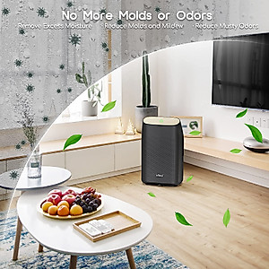 Afloia Dehumidifier for Home 2500 Cubic Feet(269 sq ft), Quiet Portable Electric Dehumidifiers, 70oz Small Dehumidifier Remove Humidity for Bathroom Basement Closet RV Garage,Auto Shut Off, Black