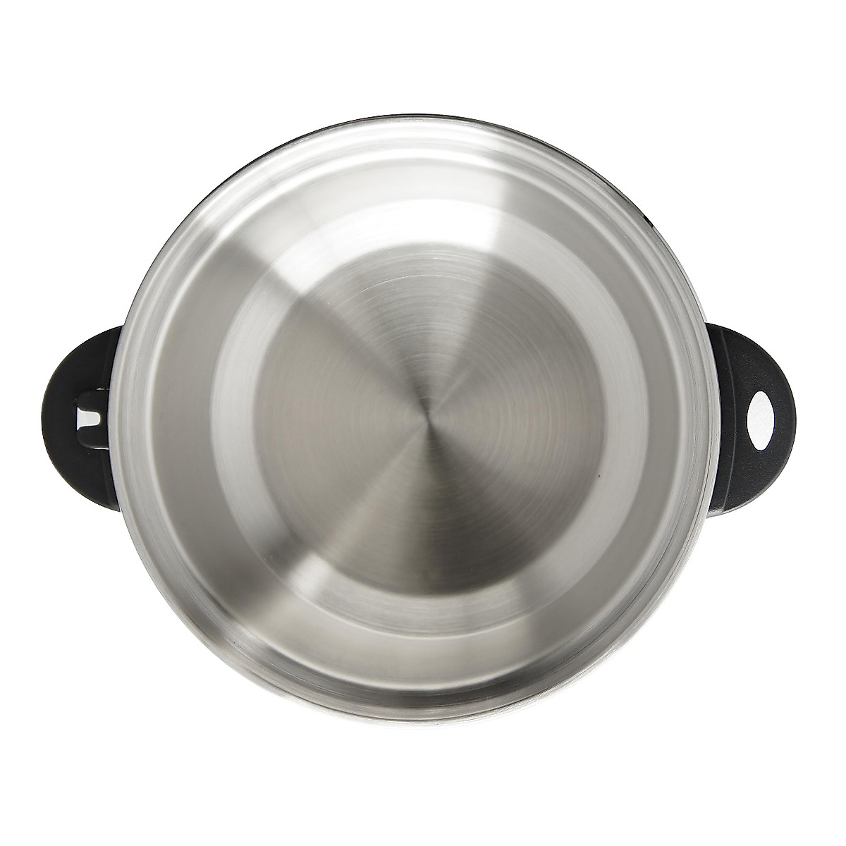 10 Cups Stainless Steel Cooker and Steamer