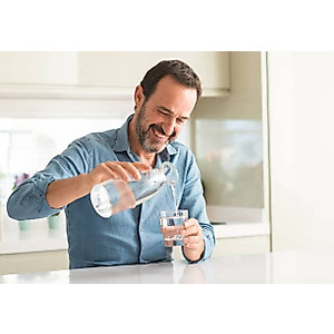 Watts Premier 500145 Plex Replacement, 2-Pack, 2 Count (Pack of 1), Plain