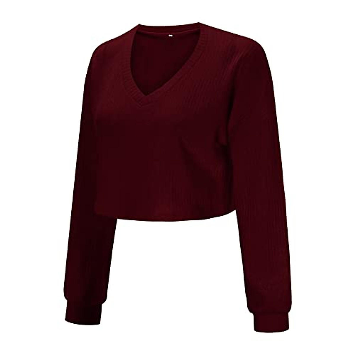 Casual Long Sleeve Tunic Tops Loose Fit Pleated Winter T-Shirt Blouses for Women Women Long Sleeve Tops Dressy Casual