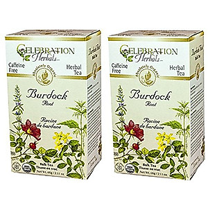 Celebration Herbals Organic Burdock Root Tea Caffeine Free - 48 Teabags in Total