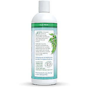 Auromere Ayurvedic Shampoo, Aloe Vera Neem - Vegan, Cruelty Free, Non-GMO, Natural, Gluten Free, Sulfate Free, Paraben Free for Dry to Normal Hair (16 fl oz), 1 Pack