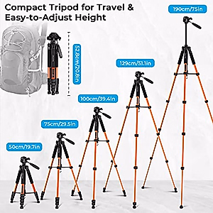 75 inch Travel Camera Tripod, Lightweight Aluminum Video Tripod for DSLR SLR Canon Nikon Sony Olympus DV with Carry Bag