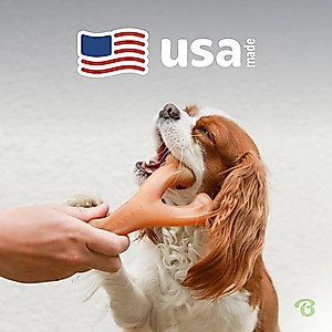 Benebone Wishbone Durable Dog Chew Toy for Aggressive Chewers, Real Bacon, Made in USA, Large
