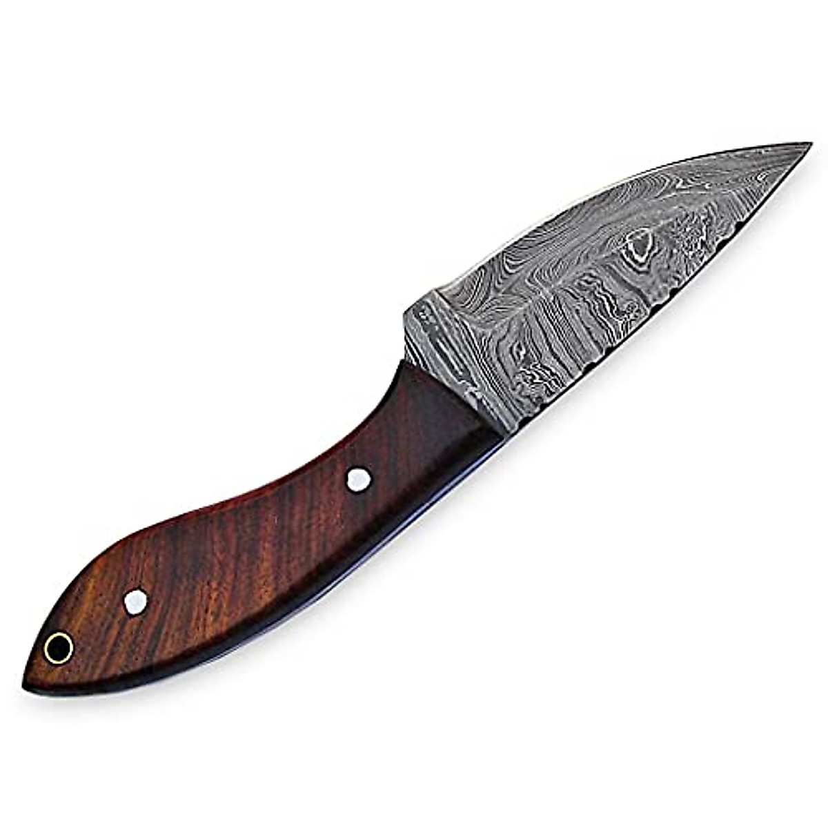MMA 8inch Custom Handmade Damascus blade knife/Fixed blade knife with sheath/Fixed Blade Knives/Skinning Knives/Hunting Knives/EDC Knives (Brown)