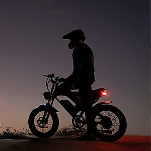 Ridstar 1000W 30MPH Fat Tire Electric Motorcycle with Removable 48V20Ah Battery and Full Suspension