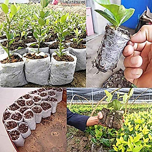 150 pcs Biodegradable Non-Woven Plant Nursery Bags Fabric Seedling Bags Plant Grow Bags for Home Garden Supply 3.93”x 4.72”