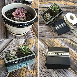 LXKBD 2 Rolls Satin Organza Ribbons with “Thank You" Printing ,1 Inch by 25 Yard Spool for Thanksgiving Day Gift Wrapping,Wedding Favor,Cake Box Decoration and Handmade Crafts (Black and Champagne)